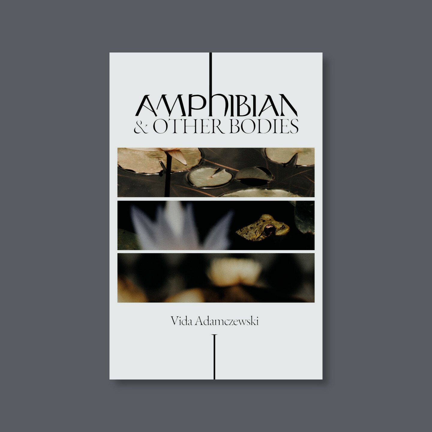 ‘Keeping Sheila’ from Vida Adamczewski’s ‘Amphibian and Other Bodies ...