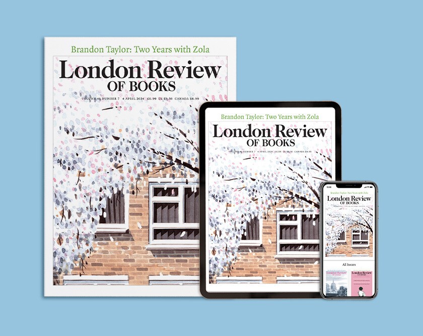 Story of the Century | Michael Downes | London Review Bookshop