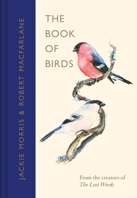 The Book of Birds: A Field Guide to Wonder and Loss | Jackie Morris ...